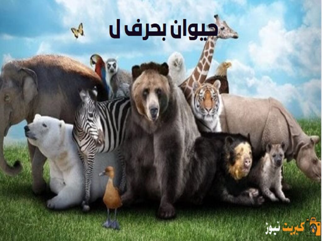 حيوان بحرف ش اسم حيوان بحرف ش – أسماء حيوانات بحرف الشين 2024 - كبريت نيوز